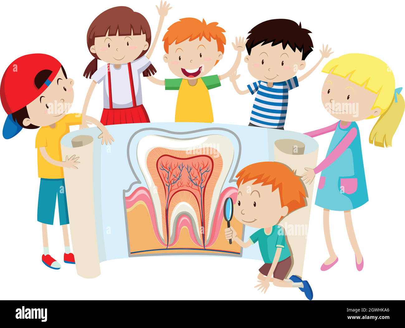 Children with tooth diagram Stock Vector Image & Art - Alamy