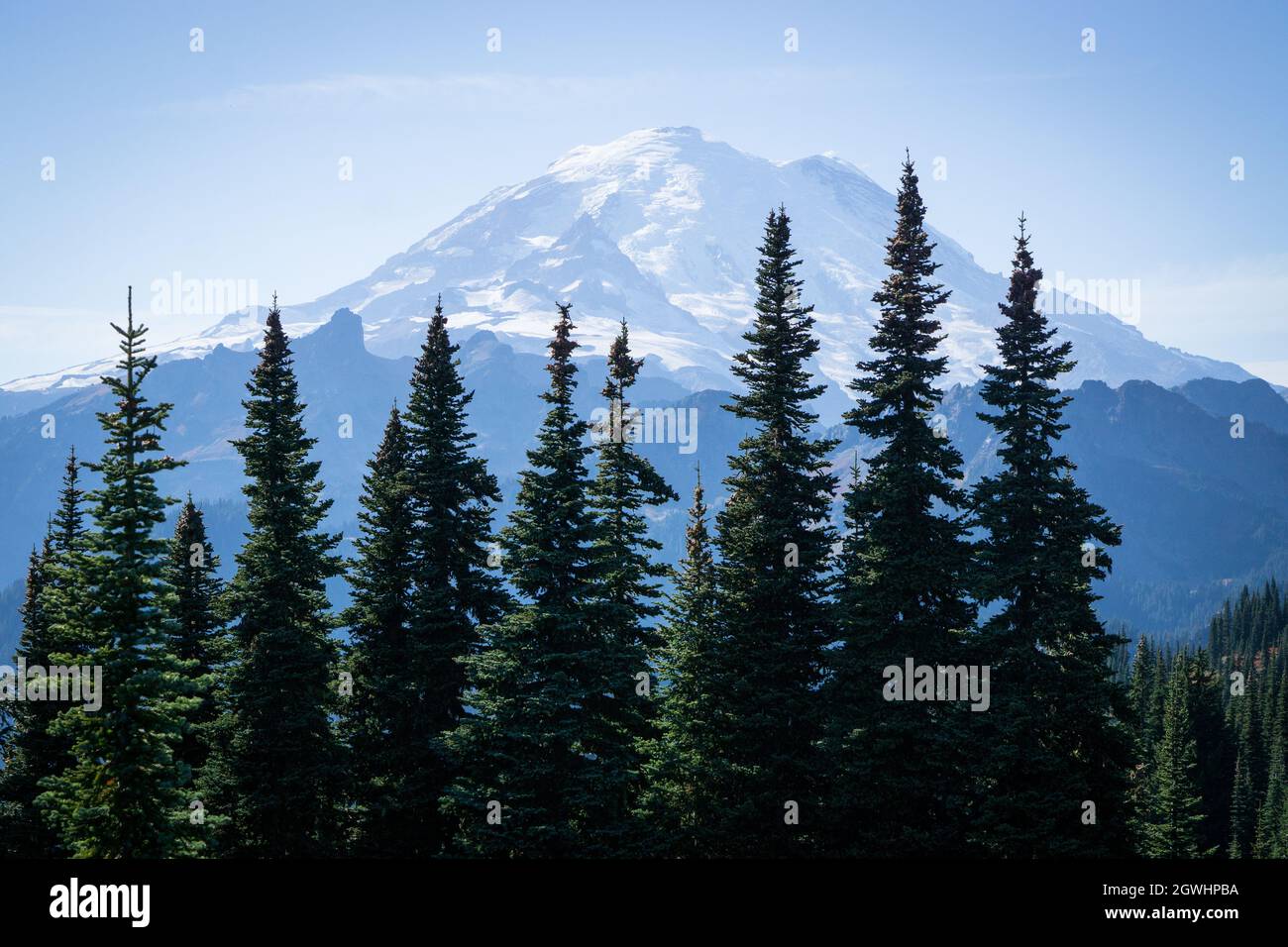 Mt. Rainier rises about the trees on a clear autumn day (view from ...