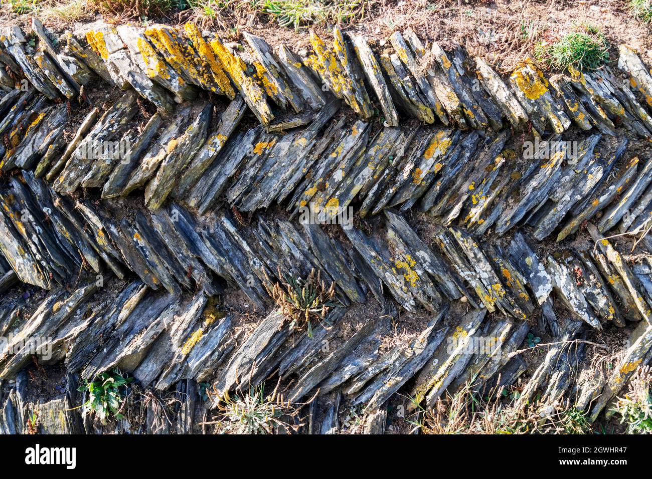 Zig zag patteern hi-res stock photography and images - Alamy