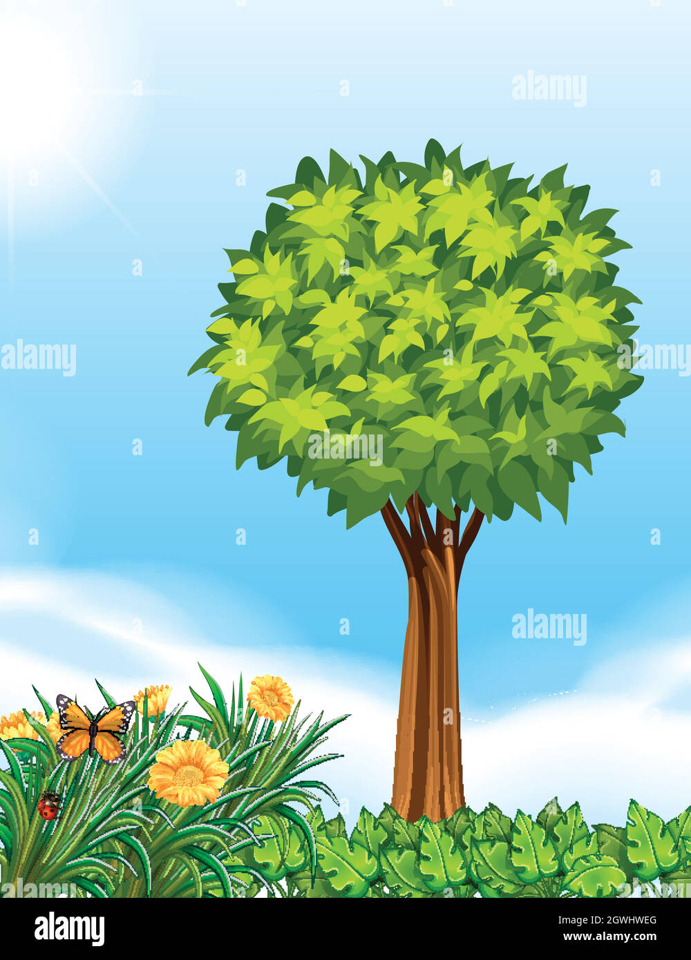 Scene with tree in garden Stock Vector Image & Art - Alamy