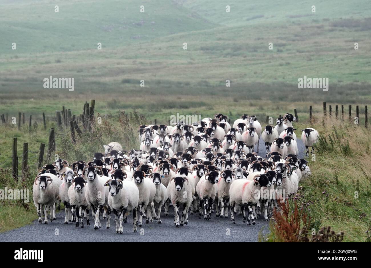Blocking A Road High Resolution Stock Photography and Images - Alamy