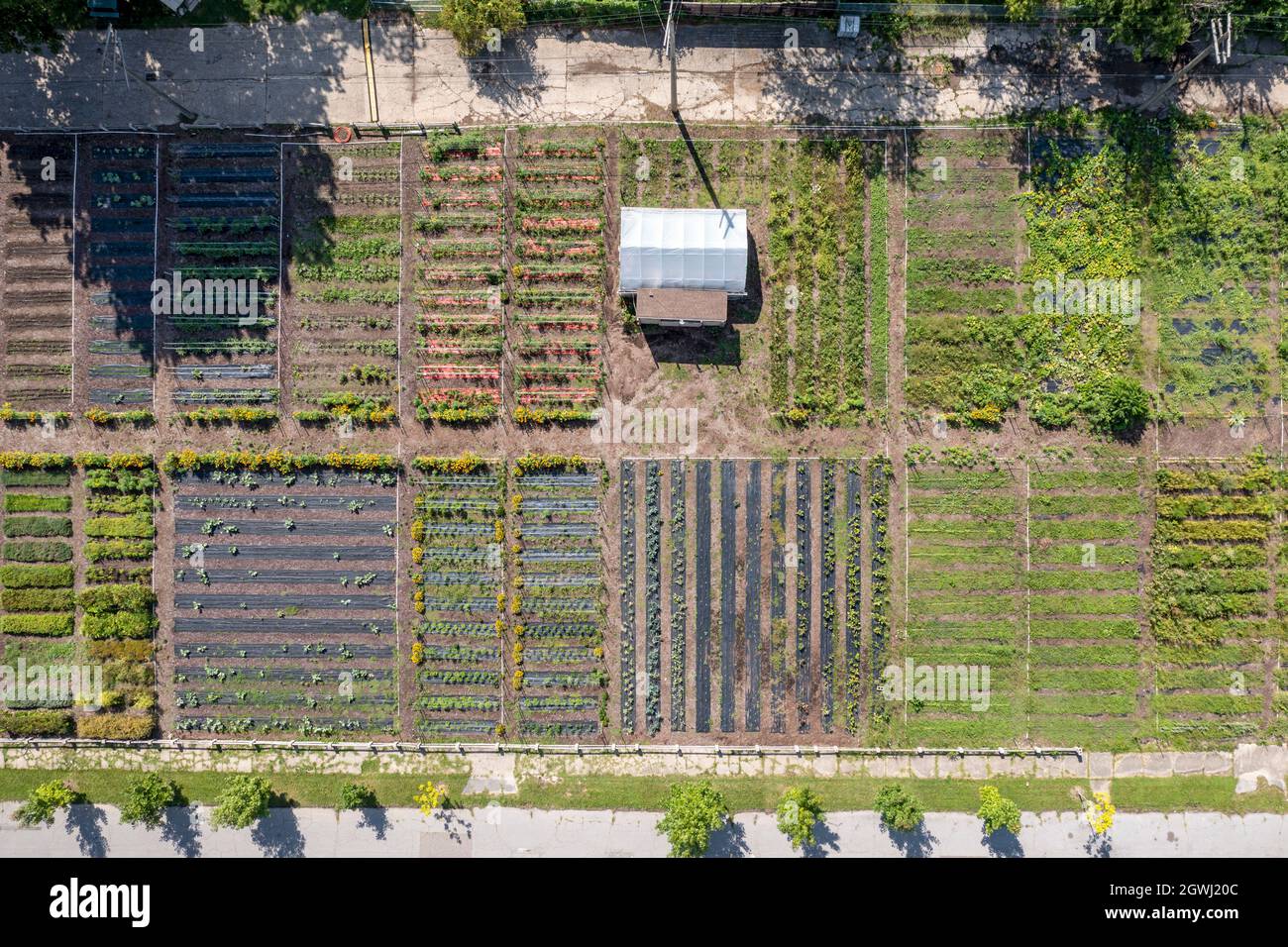 Detroit, Michigan - A nonprofit farm in midtown Detroit, called the ...