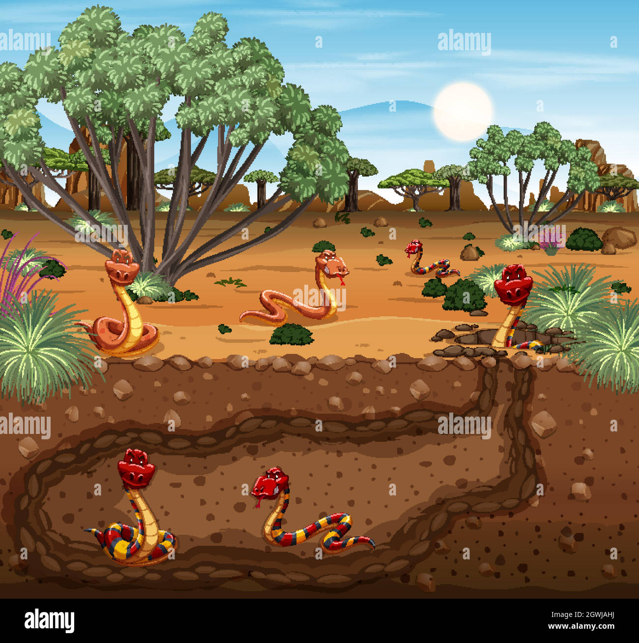 Underground animal burrow with snake family Stock Vector Image & Art ...