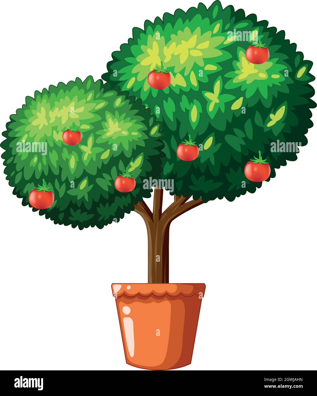 Tomatoes on small tree Stock Vector Image & Art - Alamy