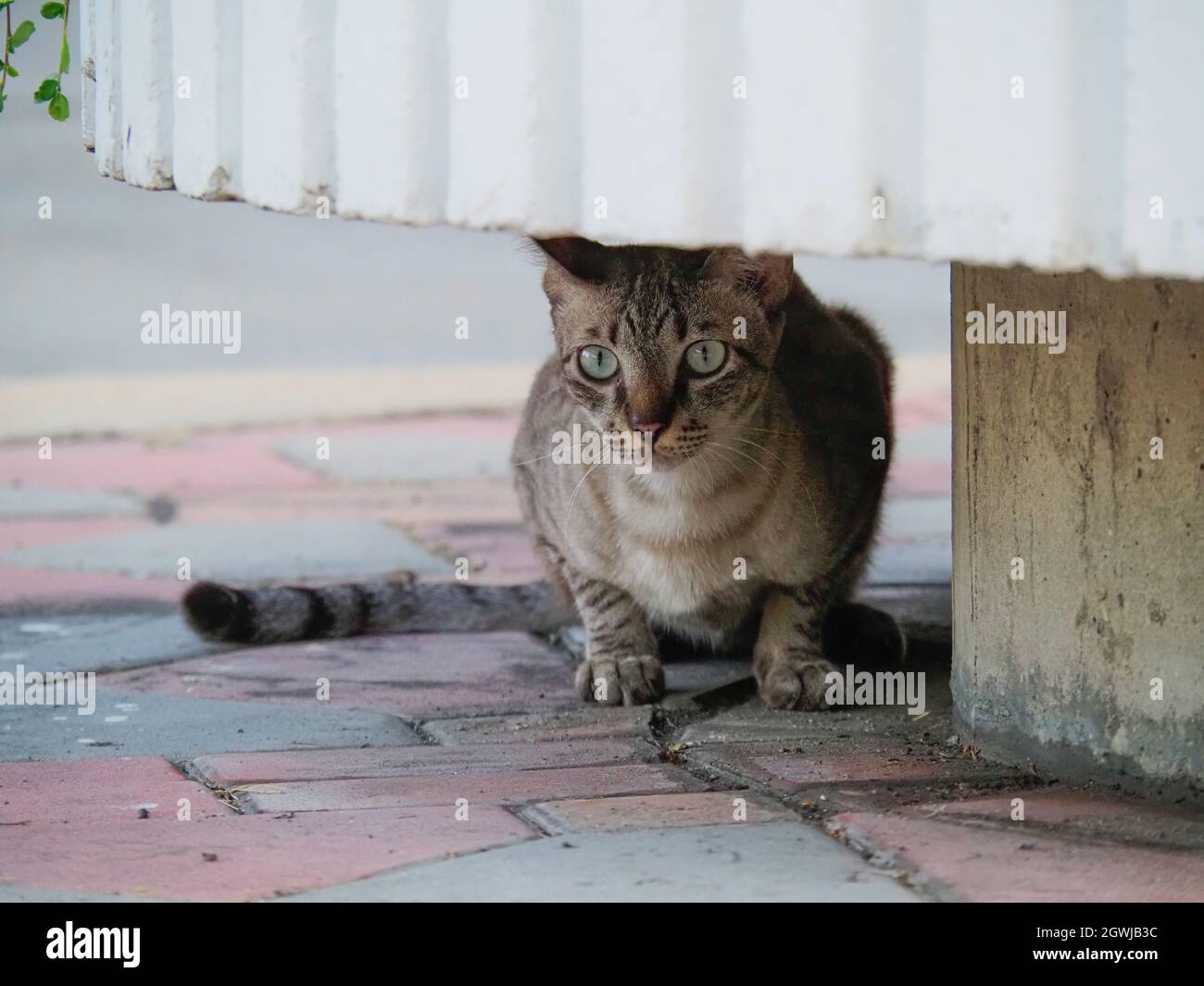 Please leave it be hi-res stock photography and images - Alamy