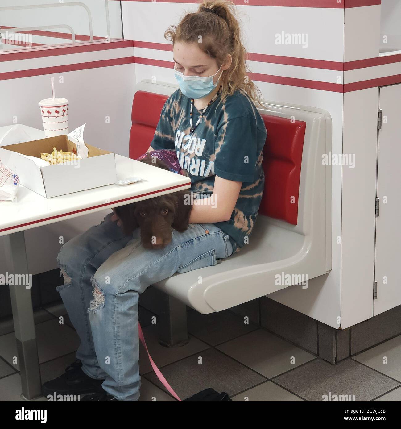 Can A Service Dog Sit In A Booth At A Restaurant