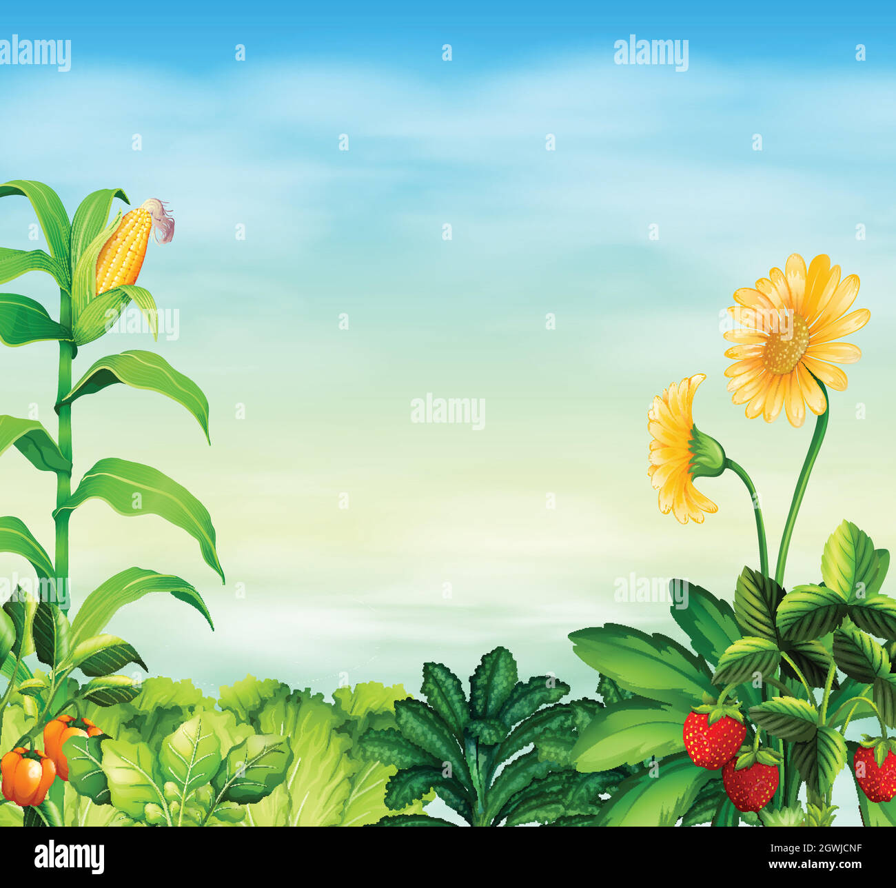 Crops of fruit Stock Vector Images - Alamy