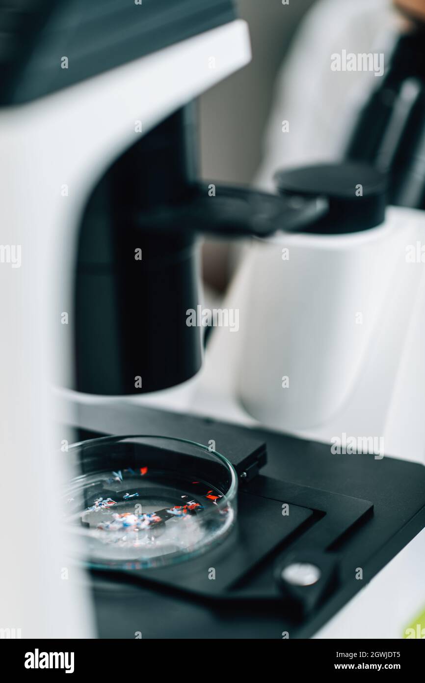 Microplastic microscope hi-res stock photography and images - Alamy
