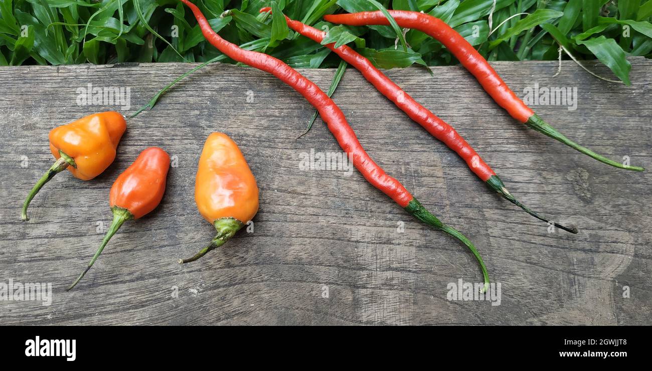 Red Chilli With Woodbackground Stock Photo - Alamy