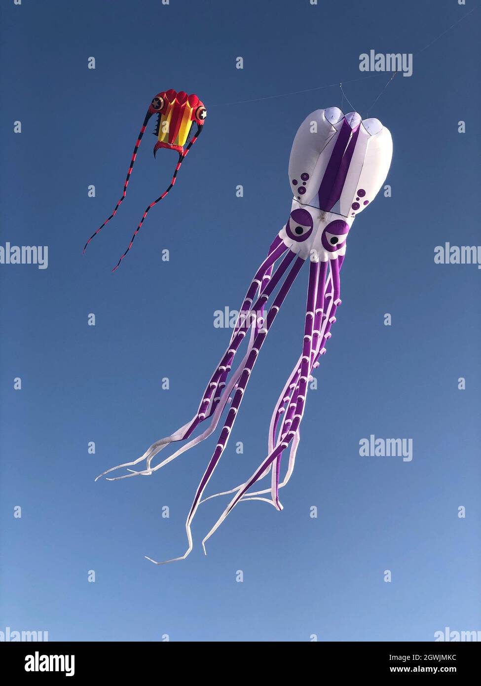 Flying kite middle east hi-res stock photography and images - Alamy