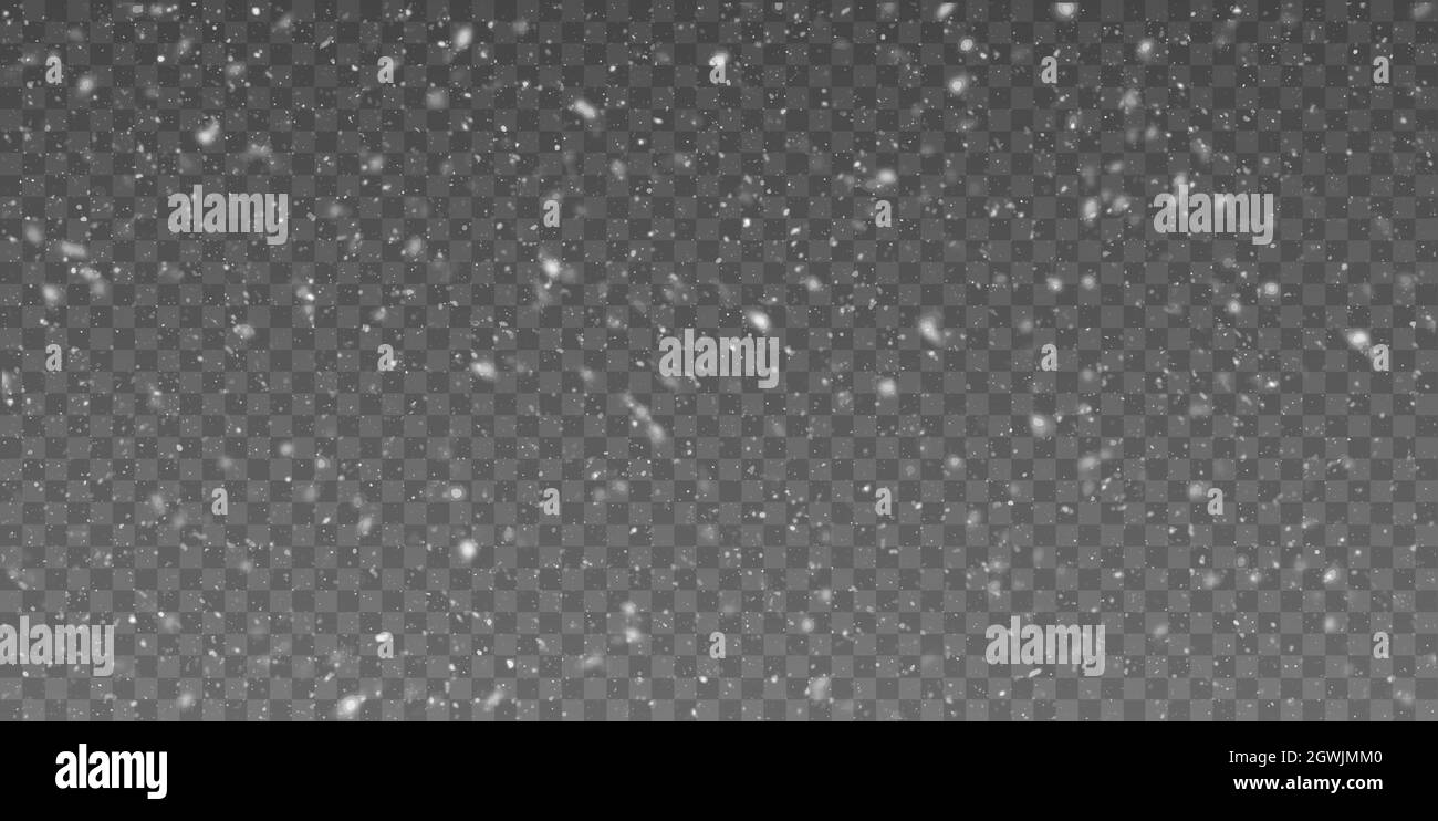 Vector snowfall isolated. Winter background. Snow overlay illustration ...