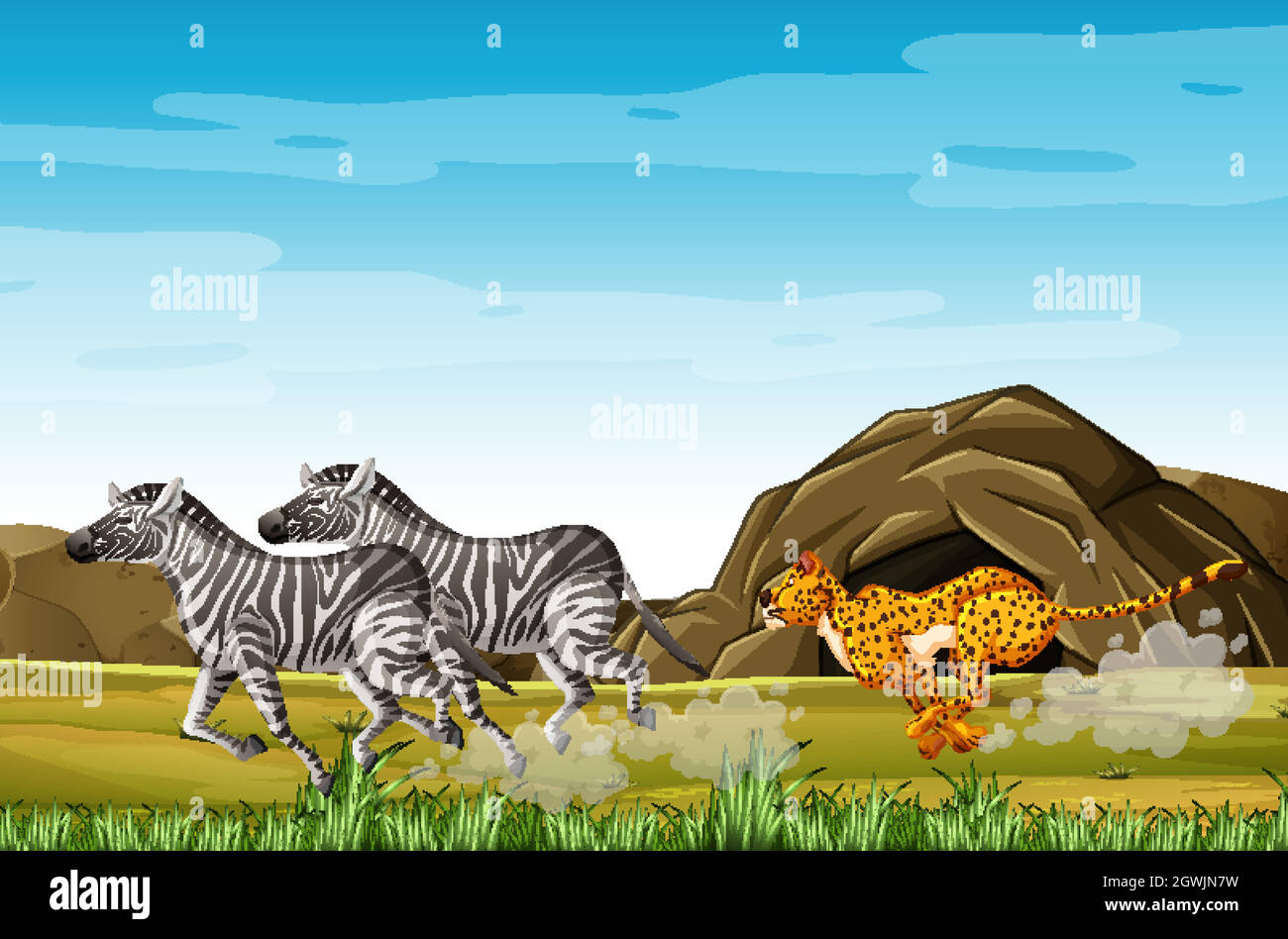 Tiger Hunting Zebra