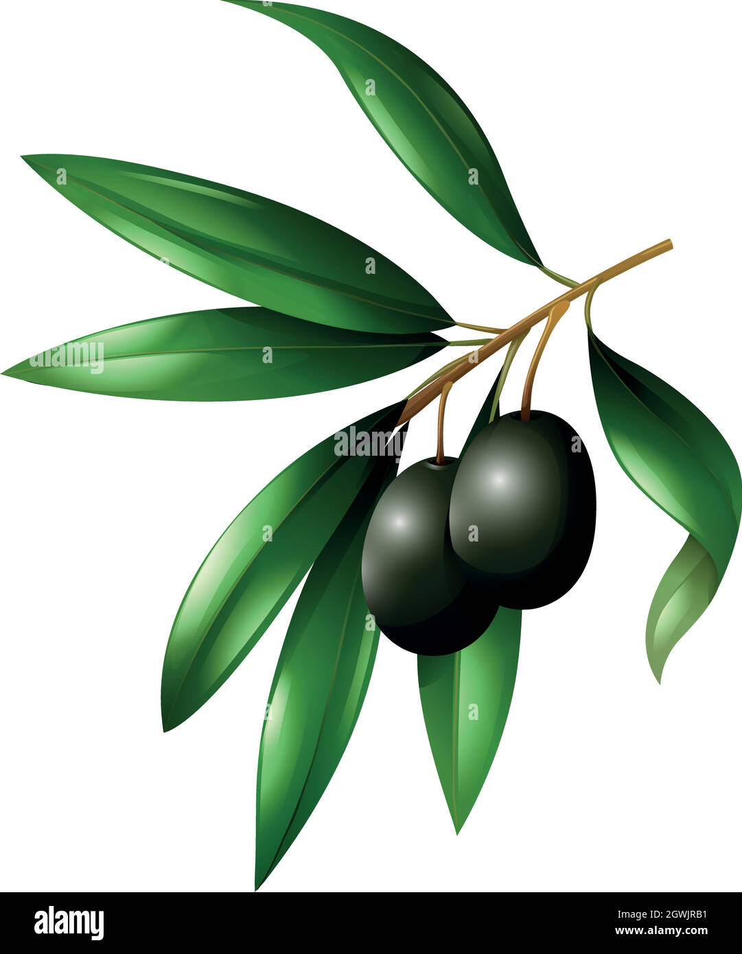 Fruits vegetables green leaves Stock Vector Images - Alamy