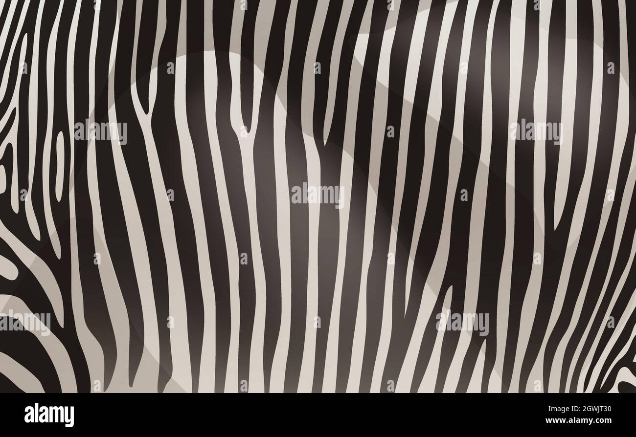 Zebra pattern hi-res stock photography and images - Alamy