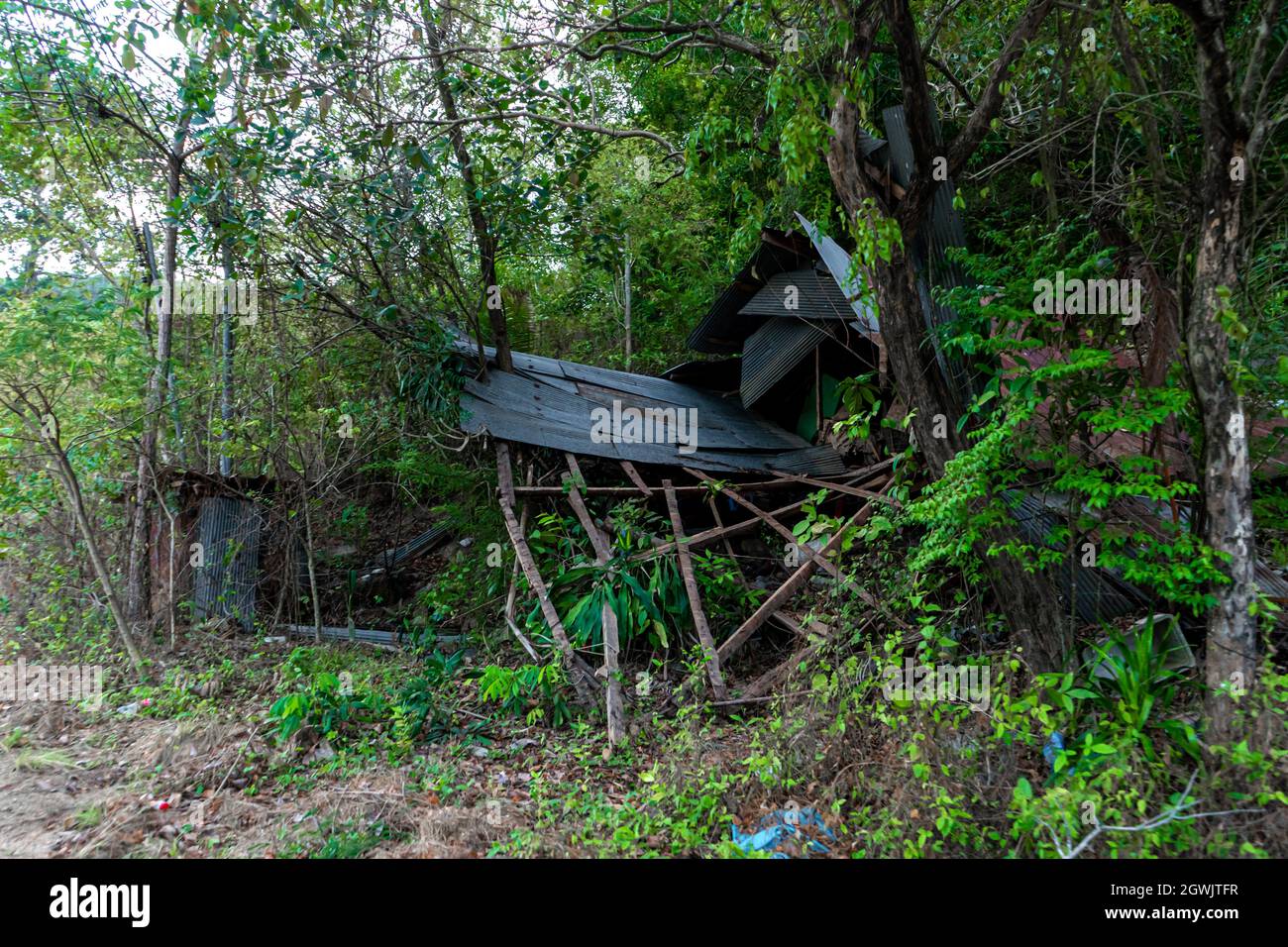 Ruined abandoned hut in the jungle Stock Photo - Alamy