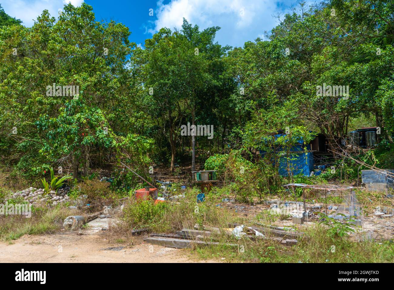 Ruined abandoned hut in the jungle Stock Photo - Alamy