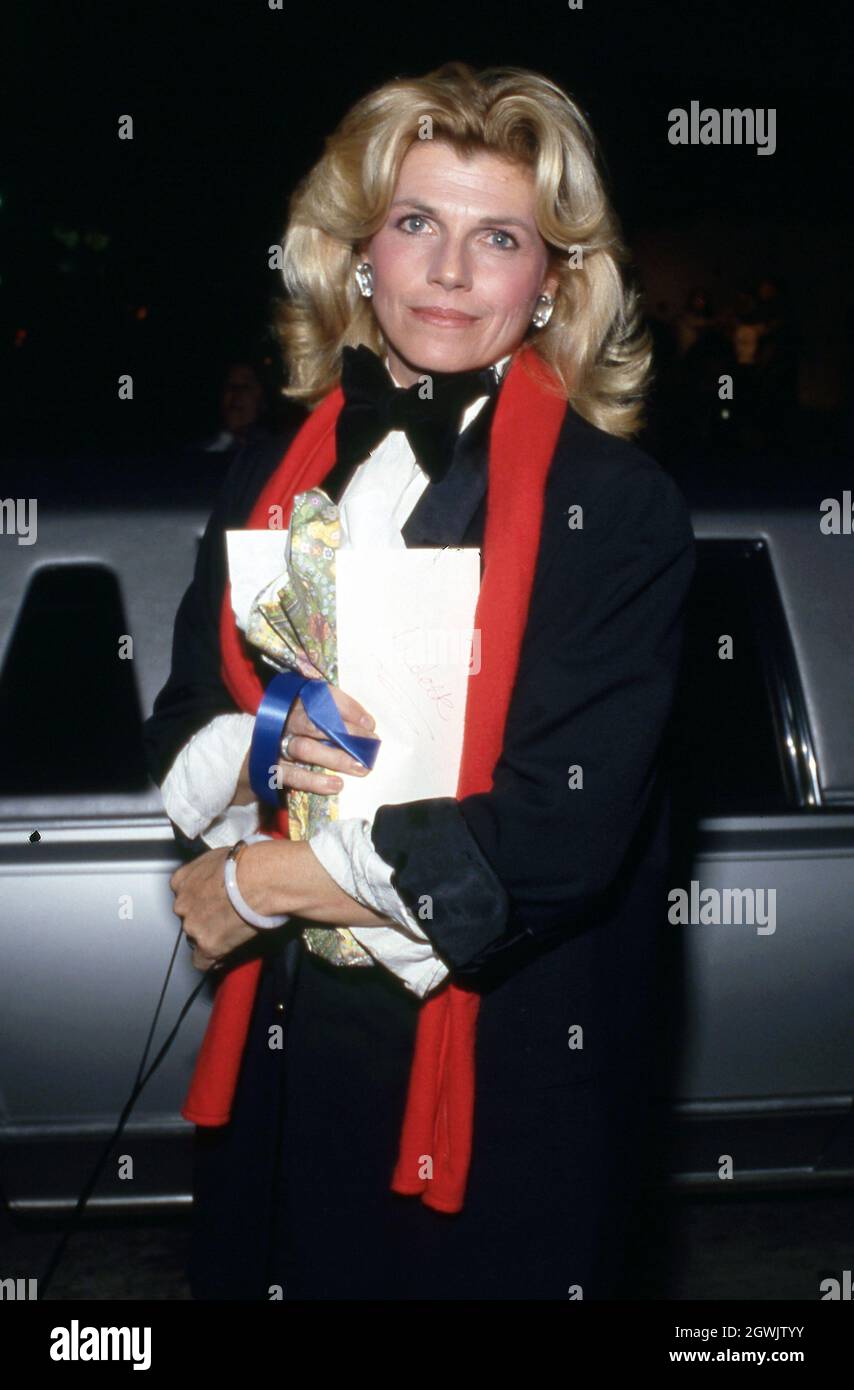 Jennifer warren High Resolution Stock Photography and Images - Alamy