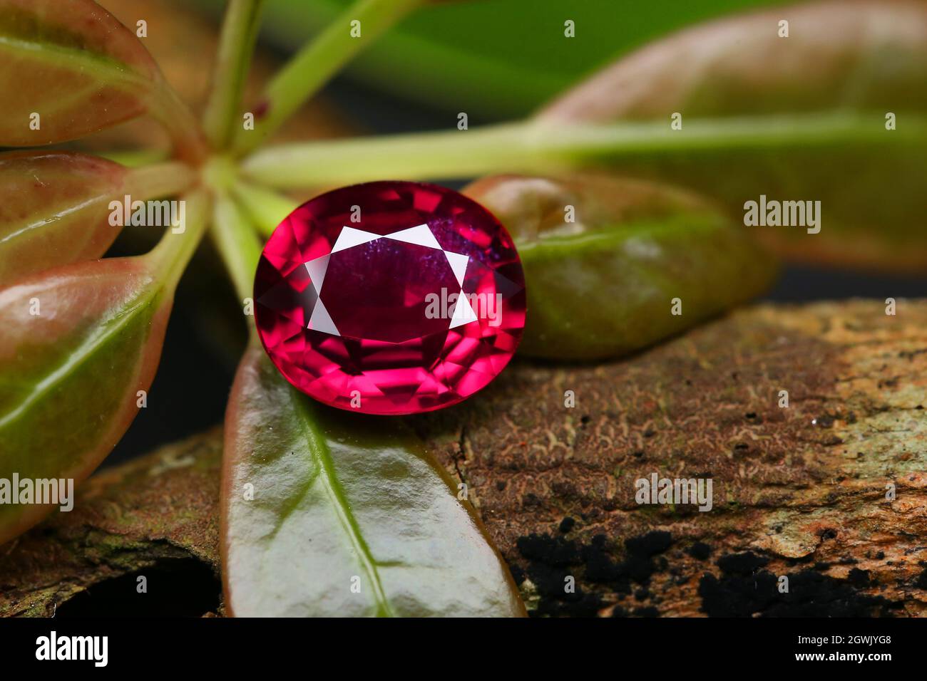 Chanthaburi gem hi-res stock photography and images - Alamy