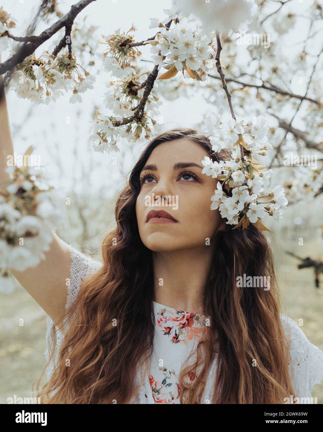 A young Bosnian woman posing in the beautiful cherry blossom garden ...