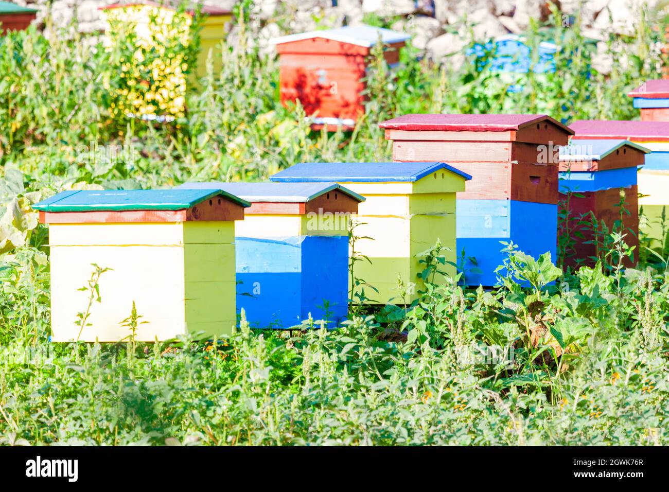 Beehive boxes hi-res stock photography and images - Alamy