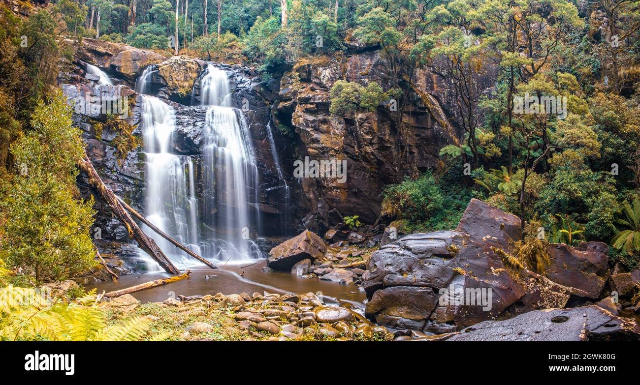 Barramunga hi-res stock photography and images - Alamy