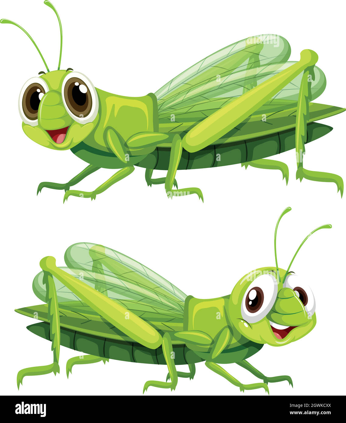 Grasshopper grasshoppers Stock Vector Images - Alamy