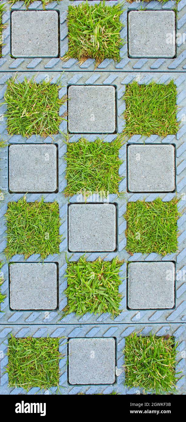 Sample of brick pavement with grass Stock Photo - Alamy