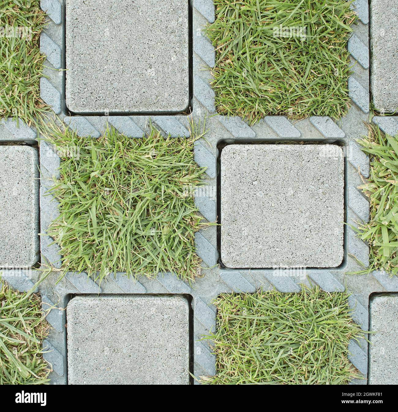 Sample of brick pavement with grass Stock Photo - Alamy