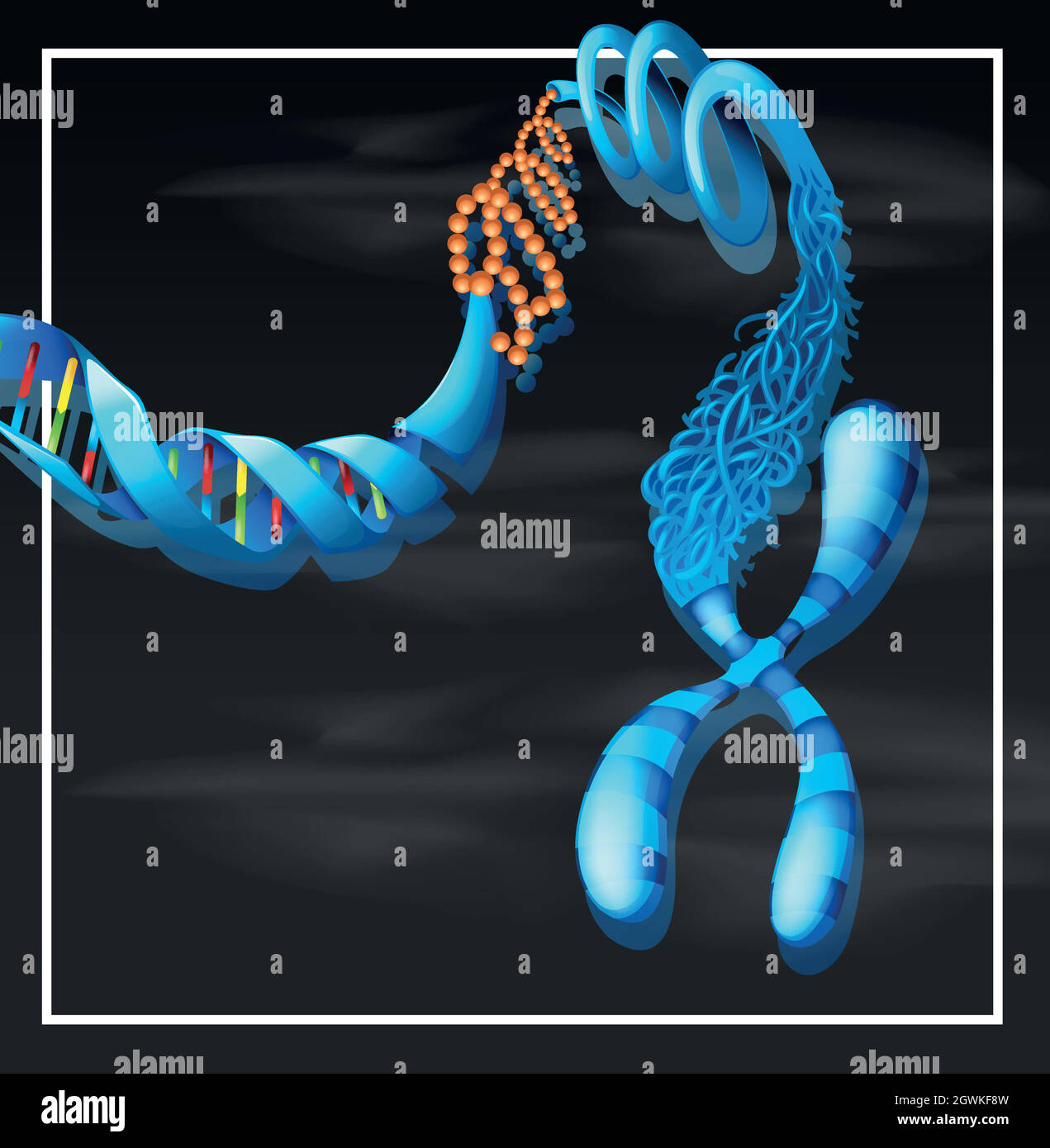A DNA background template Stock Vector Image & Art - Alamy