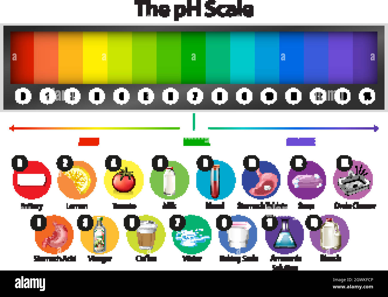 The pH scale on white background Stock Vector Image & Art - Alamy