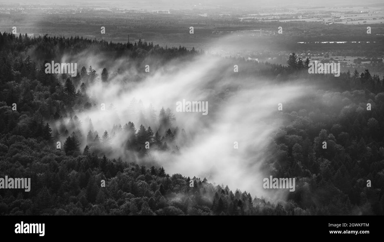 Mist rising after rain hi-res stock photography and images - Alamy