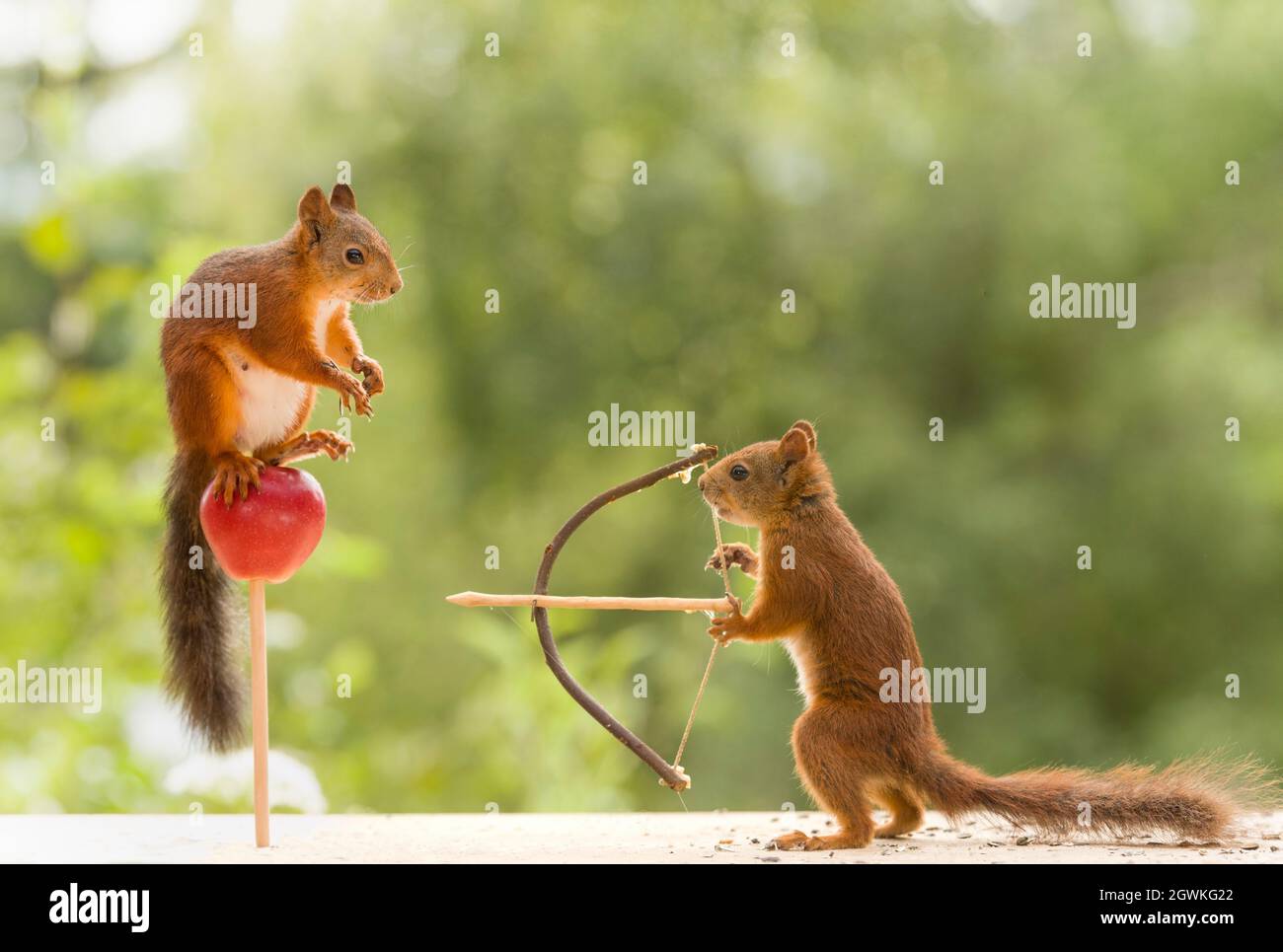 Red arrow pair hi-res stock photography and images - Alamy