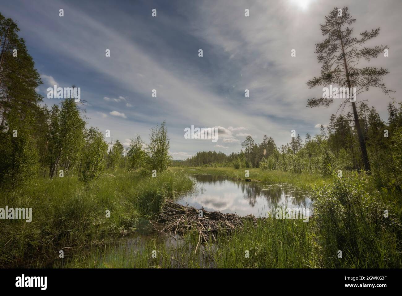 Beaver waterfall hi-res stock photography and images - Alamy