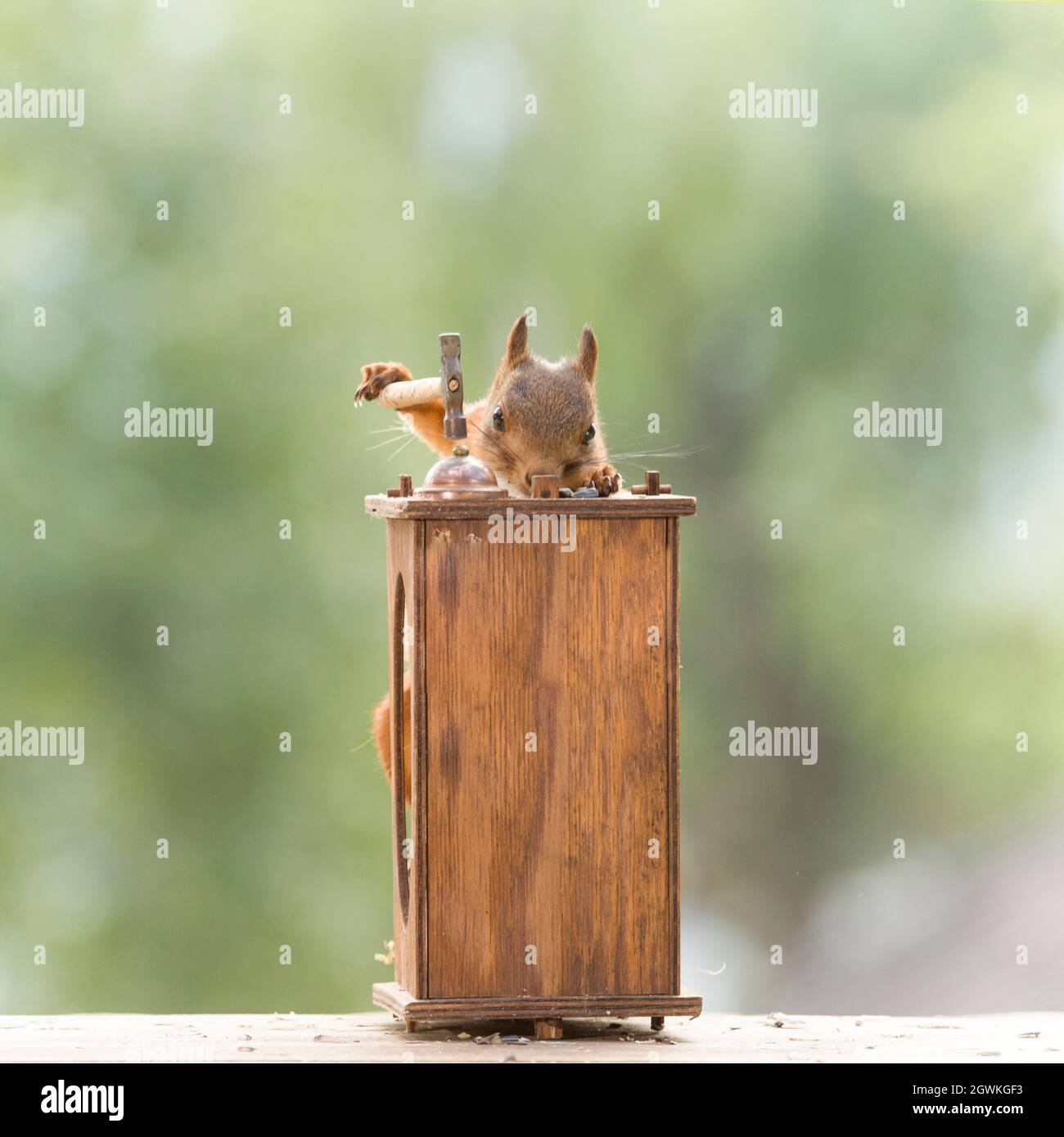 Judge behind desk hi-res stock photography and images - Alamy