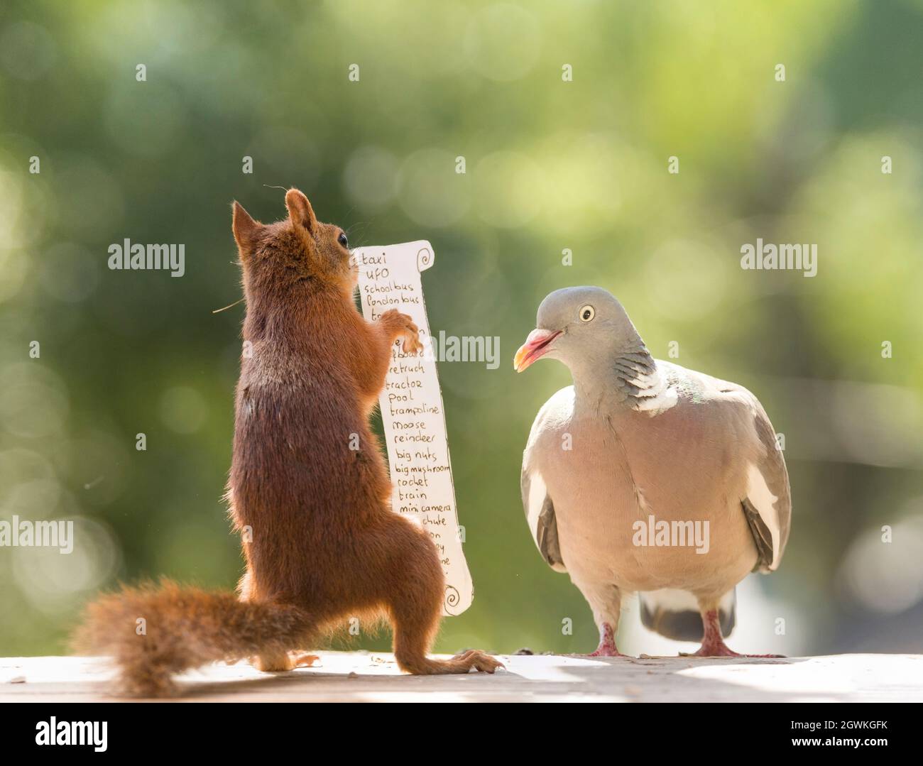 Wishing list hi-res stock photography and images - Alamy