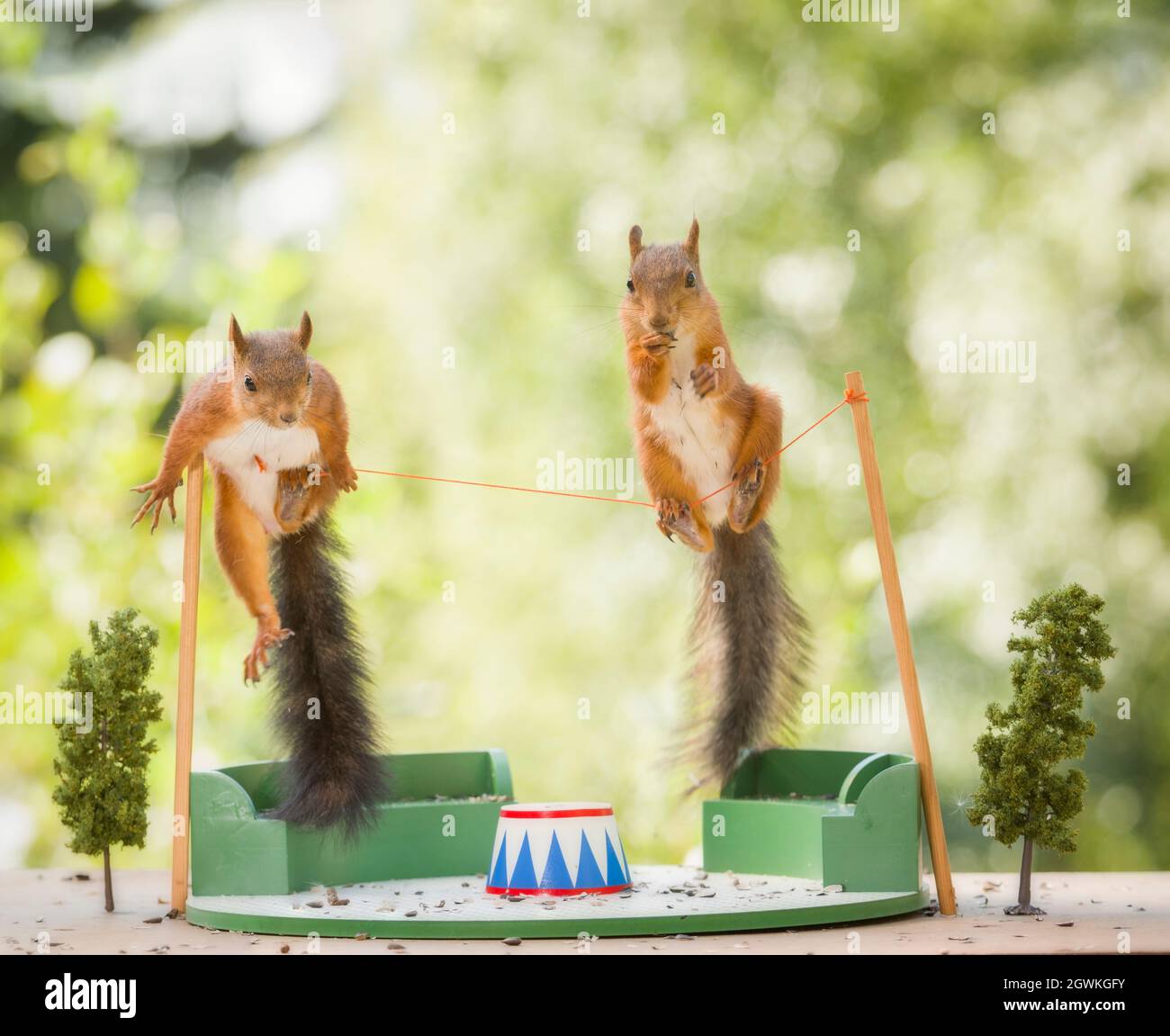 Balance on a rope hi-res stock photography and images - Alamy