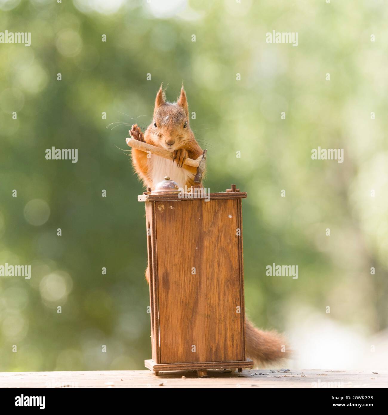 Judge behind desk hi-res stock photography and images - Alamy