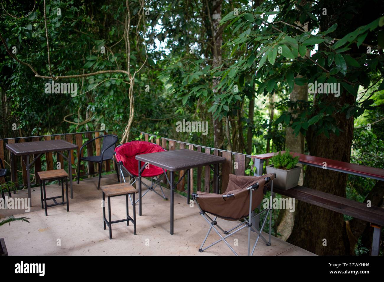 Luxury home office forest hi-res stock photography and images - Alamy
