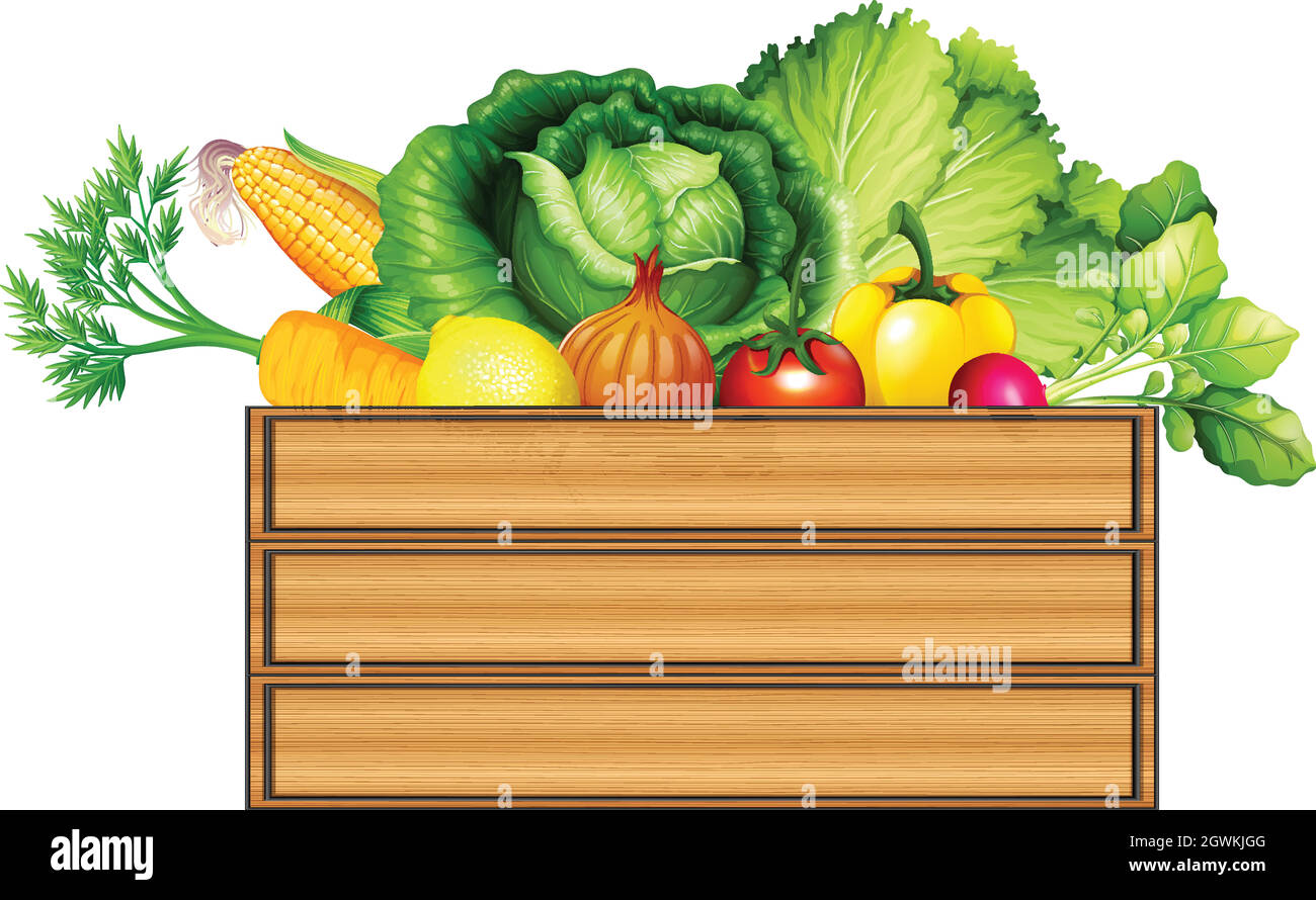 Fresh vegetables in the box Stock Vector Image & Art - Alamy