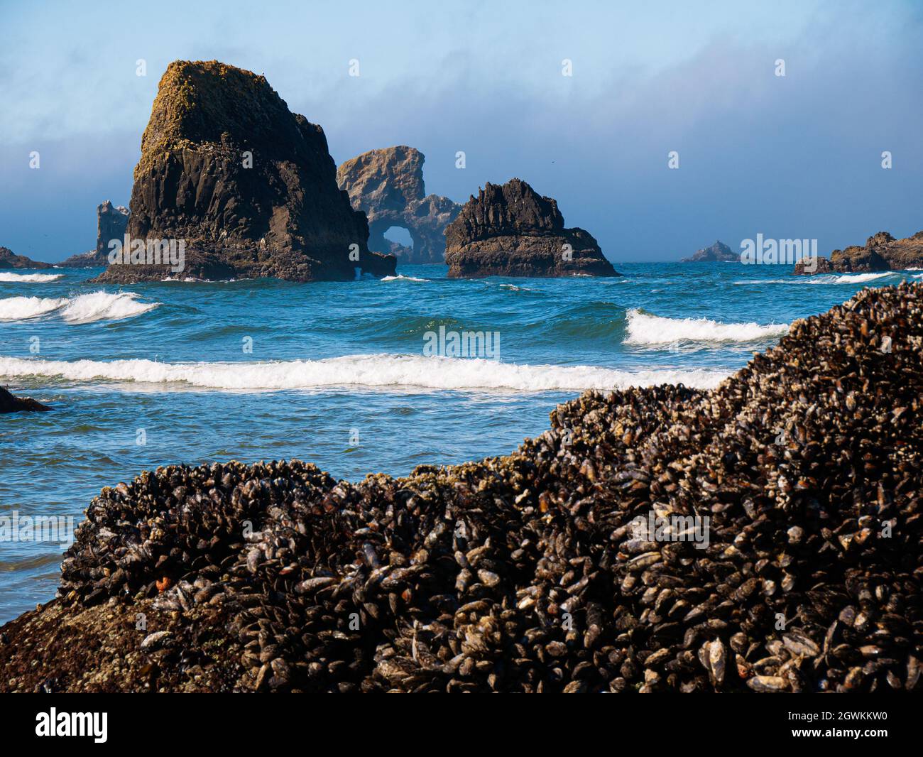 The eye of the needle usa hi-res stock photography and images - Alamy