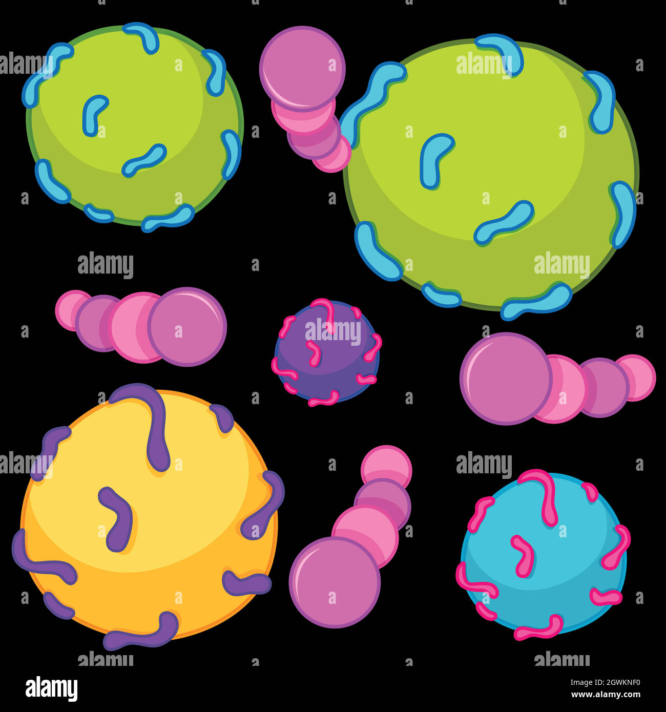 Close up round bacteria Stock Vector Image & Art - Alamy