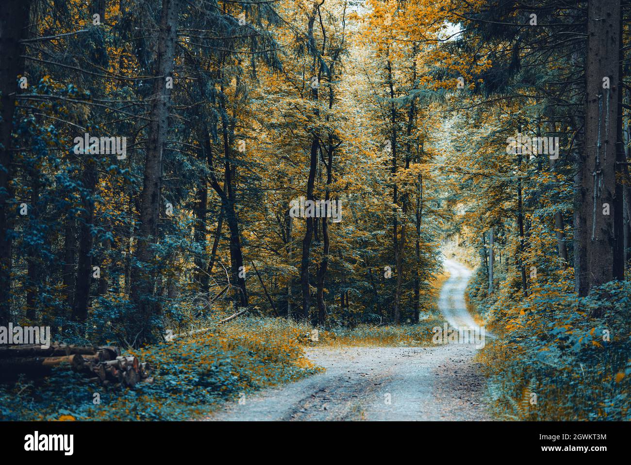 Morning scene in the sauerland hi-res stock photography and images - Alamy