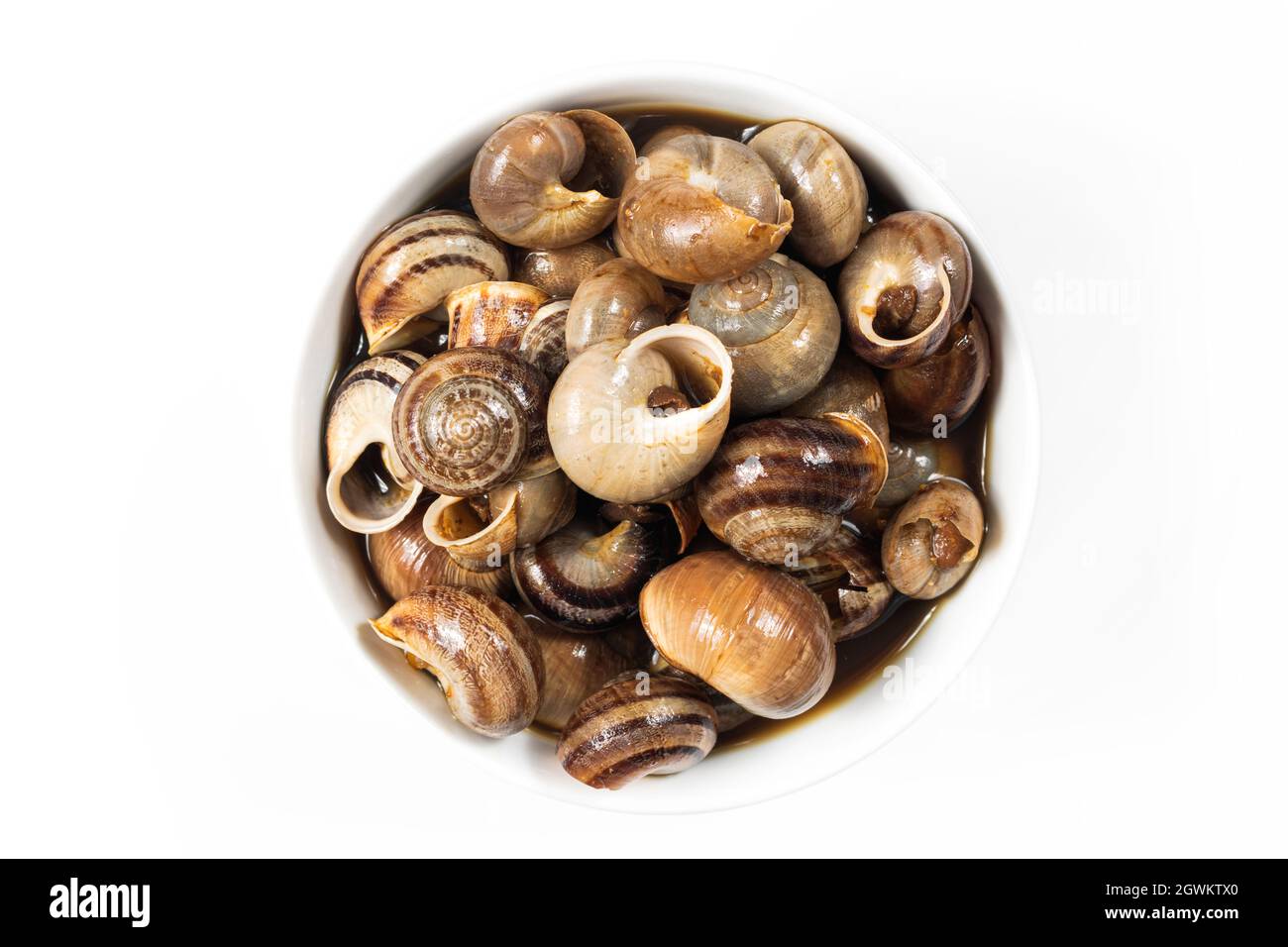 moroccan snails on white background. snails food, moroccan snails food ...