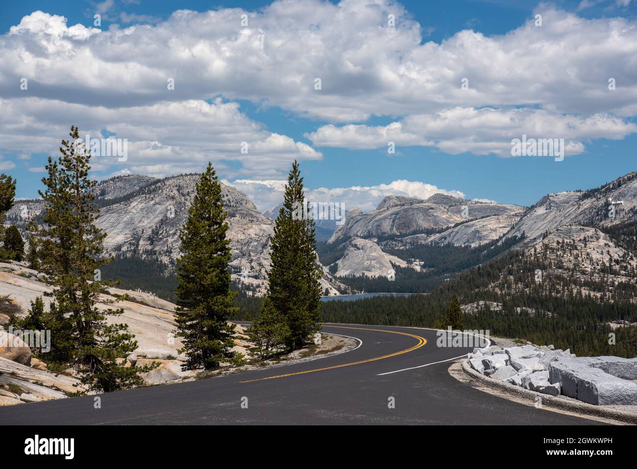 Drive through tree yosemite hi-res stock photography and images - Alamy