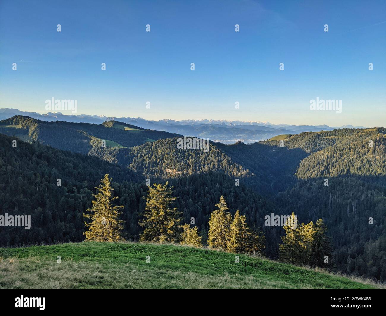 Schnebelhorn, highest point in the canton of Zurich. Sunset on the hill ...
