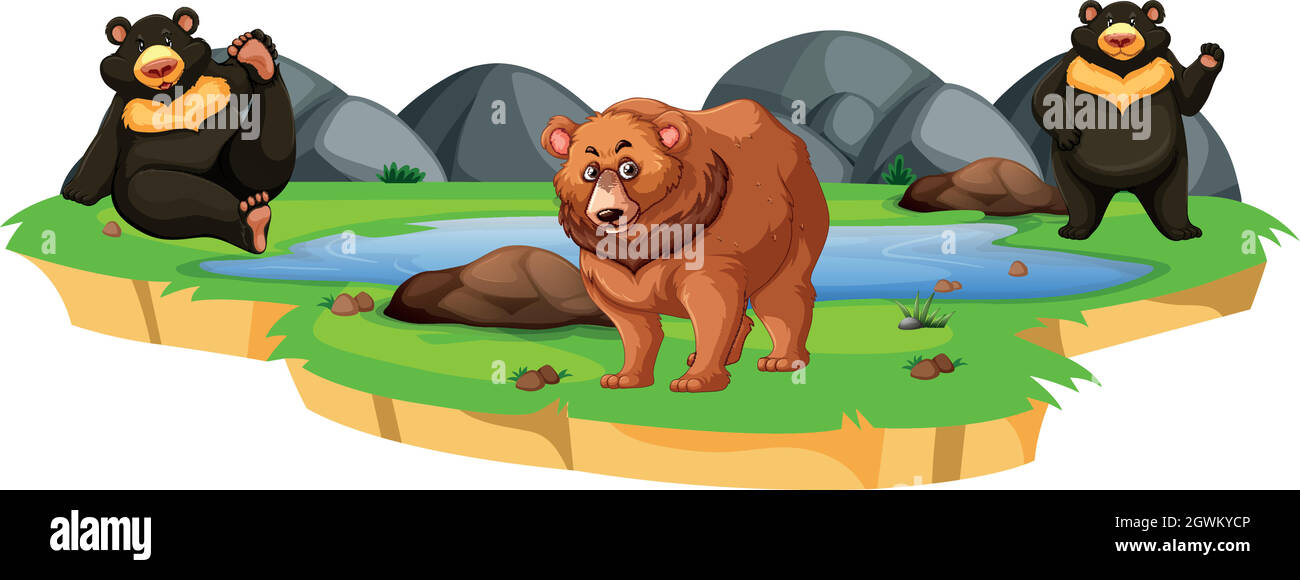 Bear around a pond on white Stock Vector Image & Art - Alamy