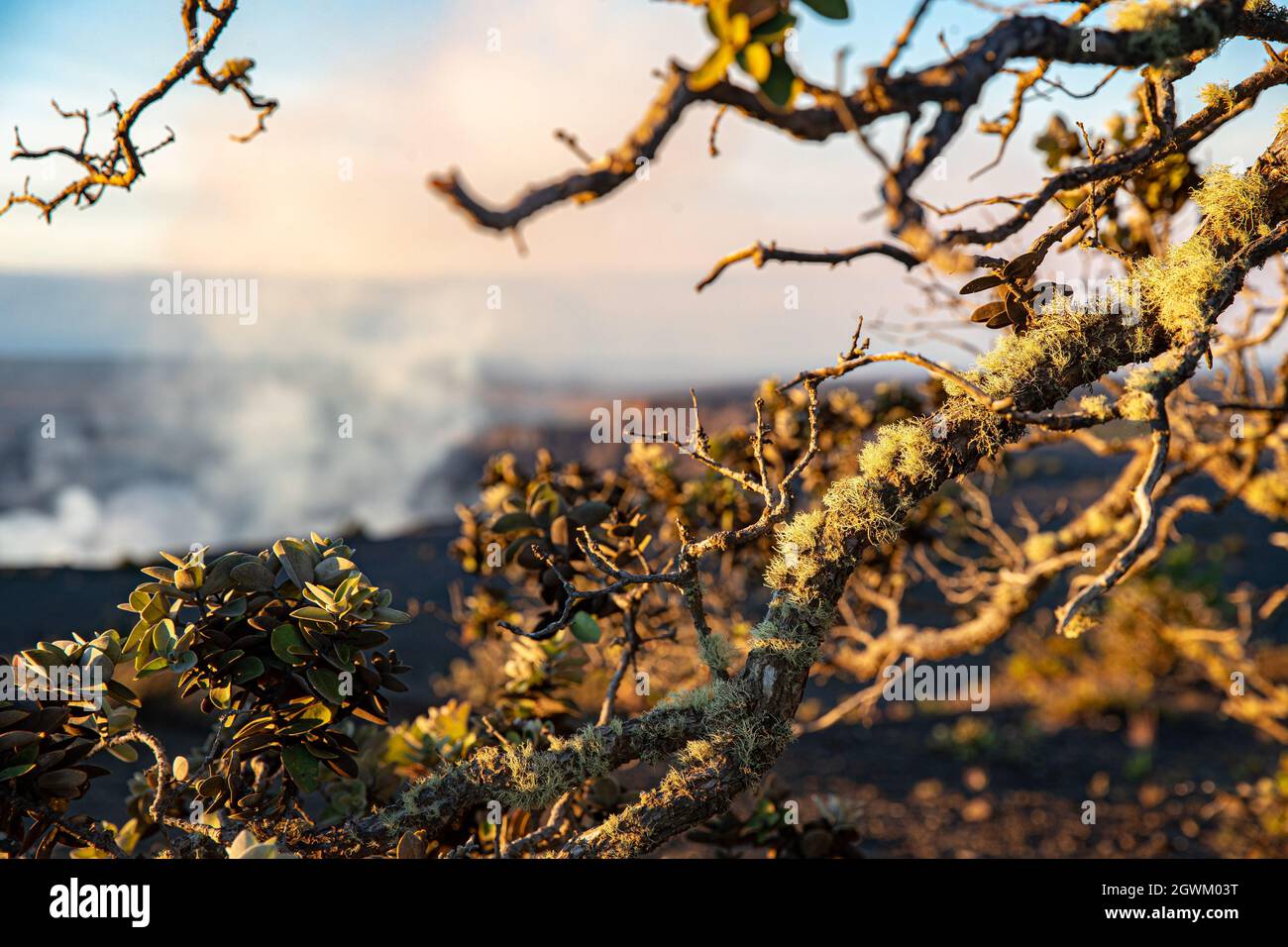 Volcano, HI, USA. 3rd Oct, 2021. Volcanic eruption in the halemaumau ...