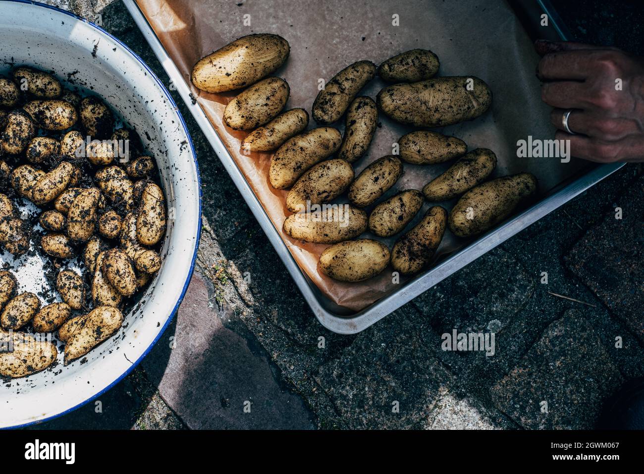 Person washing potatoes hi-res stock photography and images - Alamy