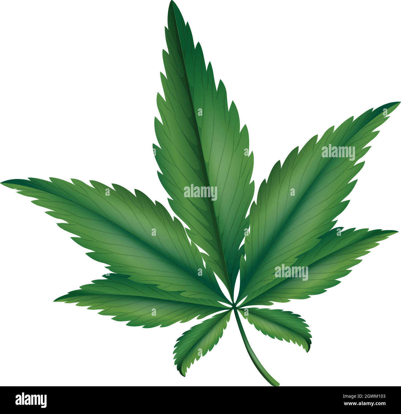 Marijuana image Cut Out Stock Images & Pictures - Alamy