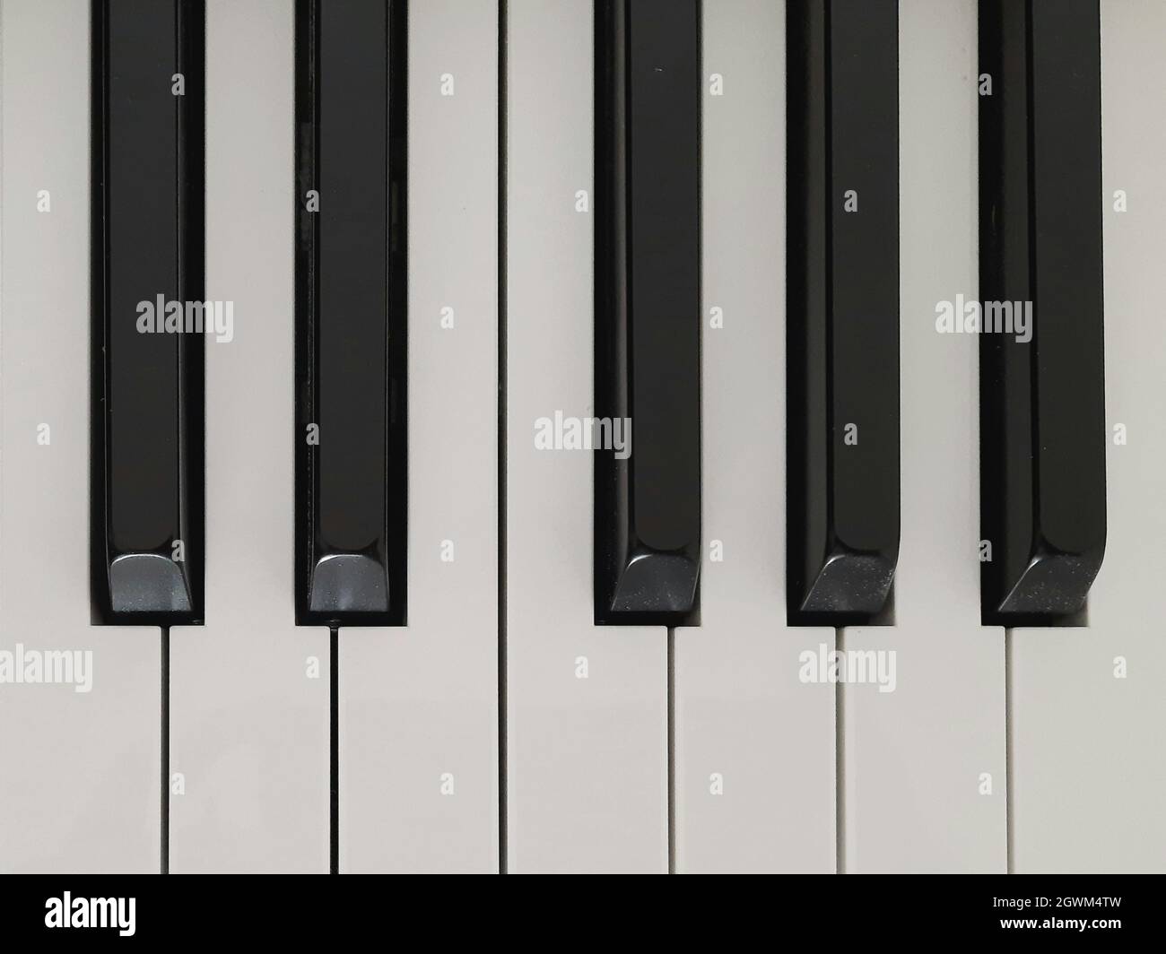 Celesta High Resolution Stock Photography and Images - Alamy